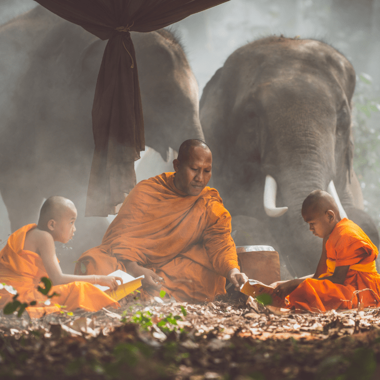 Die 5 Kleshas: Wie uns negative Gedanken und Emotionen beeinflussen ...